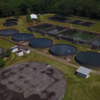 Login - Samoa Water Authority